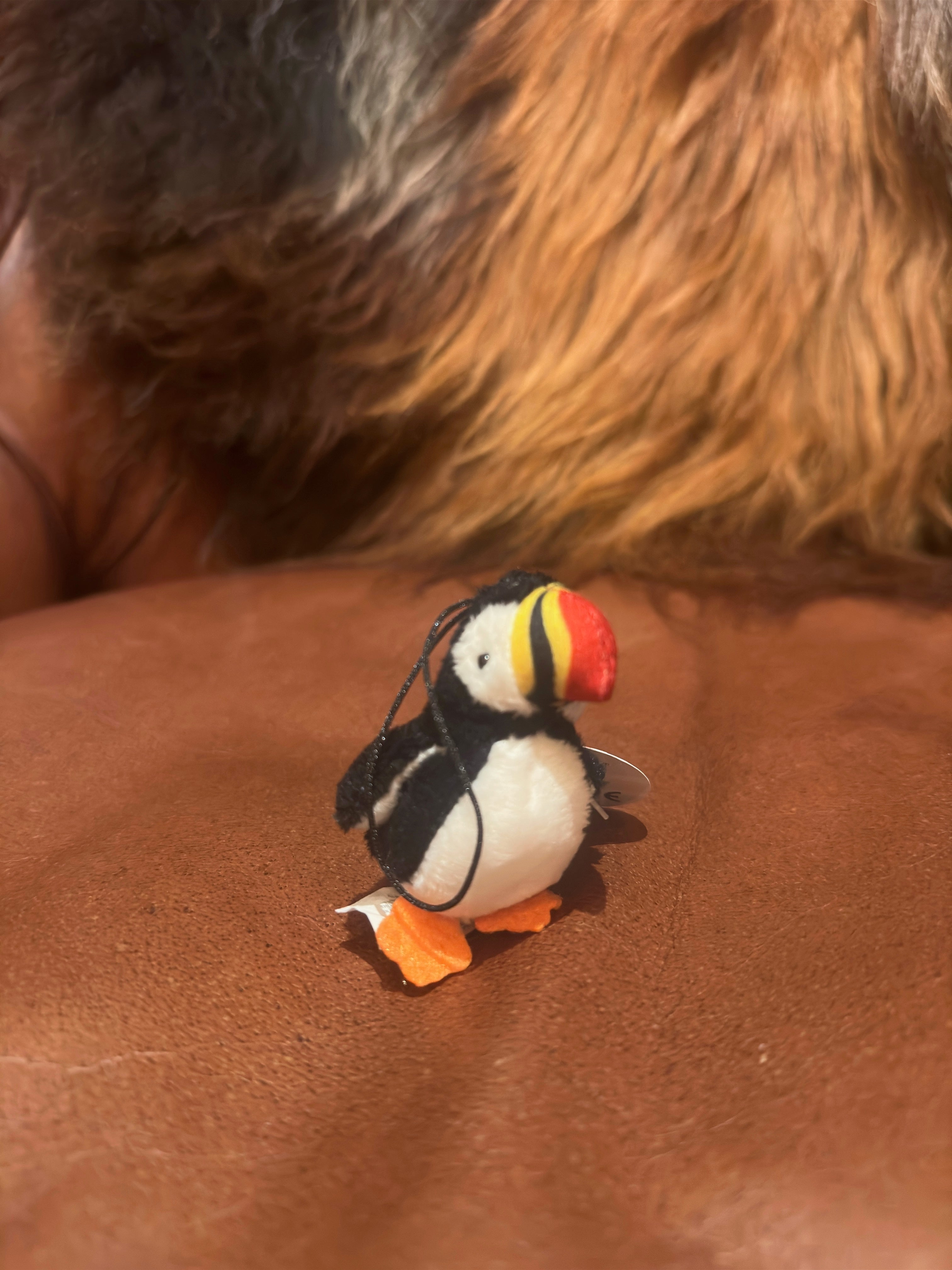 Puffin Clip Keychain - A Memory From Iceland – Remember Reykjavík